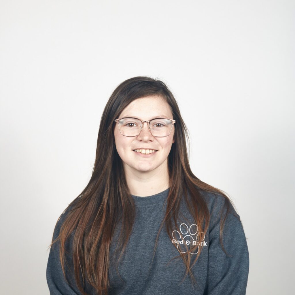 Meet The Expert Dog Care Staff At Bed & Bark | Hudson, Ohio